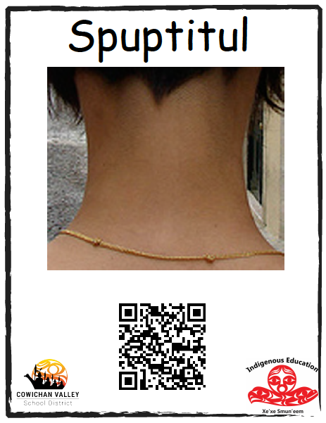 Body Parts (Level 1) – Indigenous Education